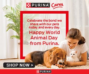 Buy Purina Geant Campaign | Nestle Family
